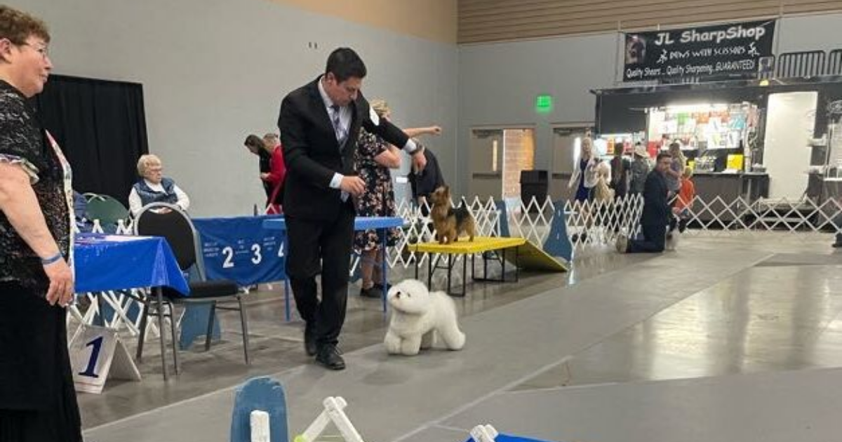 Dogs, ribbons, and family fun at annual Midland dog show - Permian Press